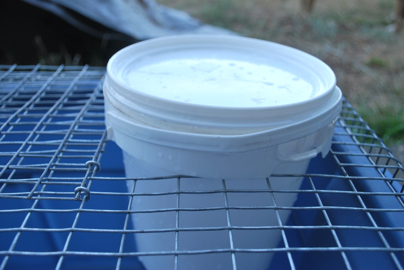 The Easiest and Best Coturnix Quail Brooder | Abernathy's Rabbitry