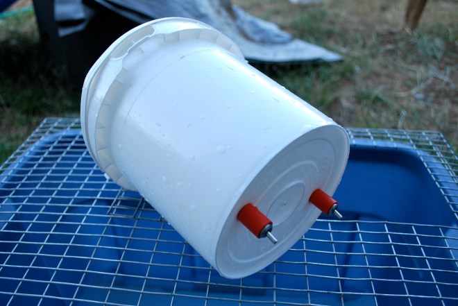 The Easiest and Best Coturnix Quail Brooder | Abernathy's Rabbitry