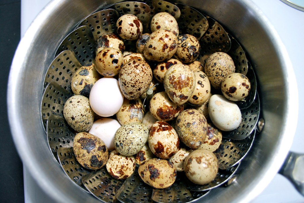 The Trick to Easy-Peel Quail Eggs | Abernathy's Rabbitry