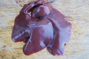 Hepatic Coccidiosis in Rabbits – Graphic Photos | Abernathy's Rabbitry