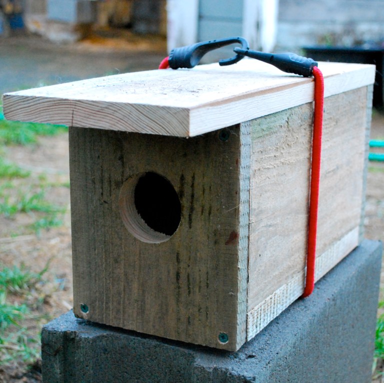 diy weasel box | Abernathy's Rabbitry