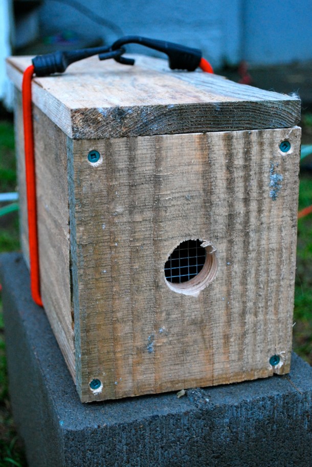 diy weasel box | Abernathy's Rabbitry