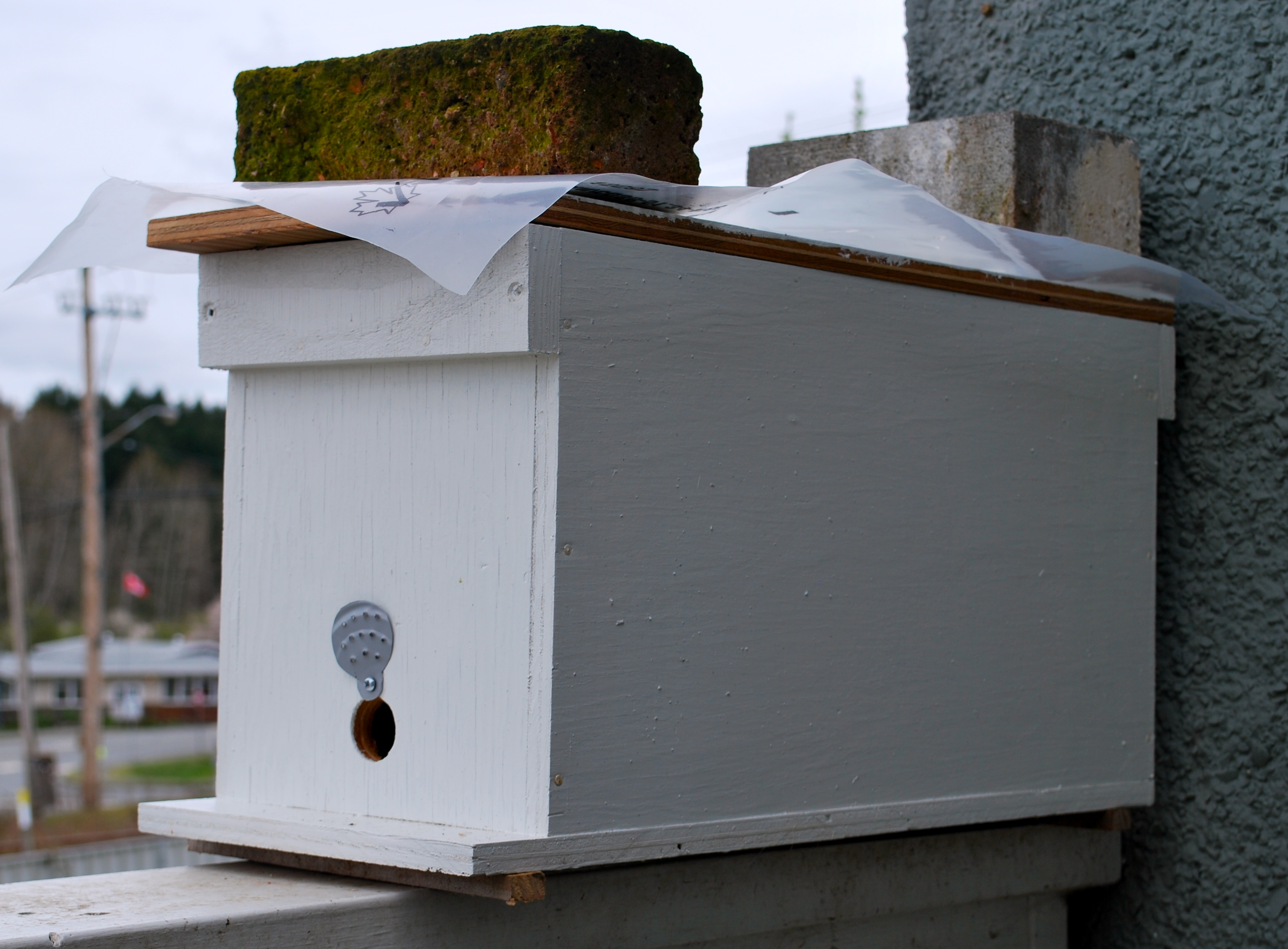 DIY Swarm Trap/Nuc Box | Abernathy's Rabbitry