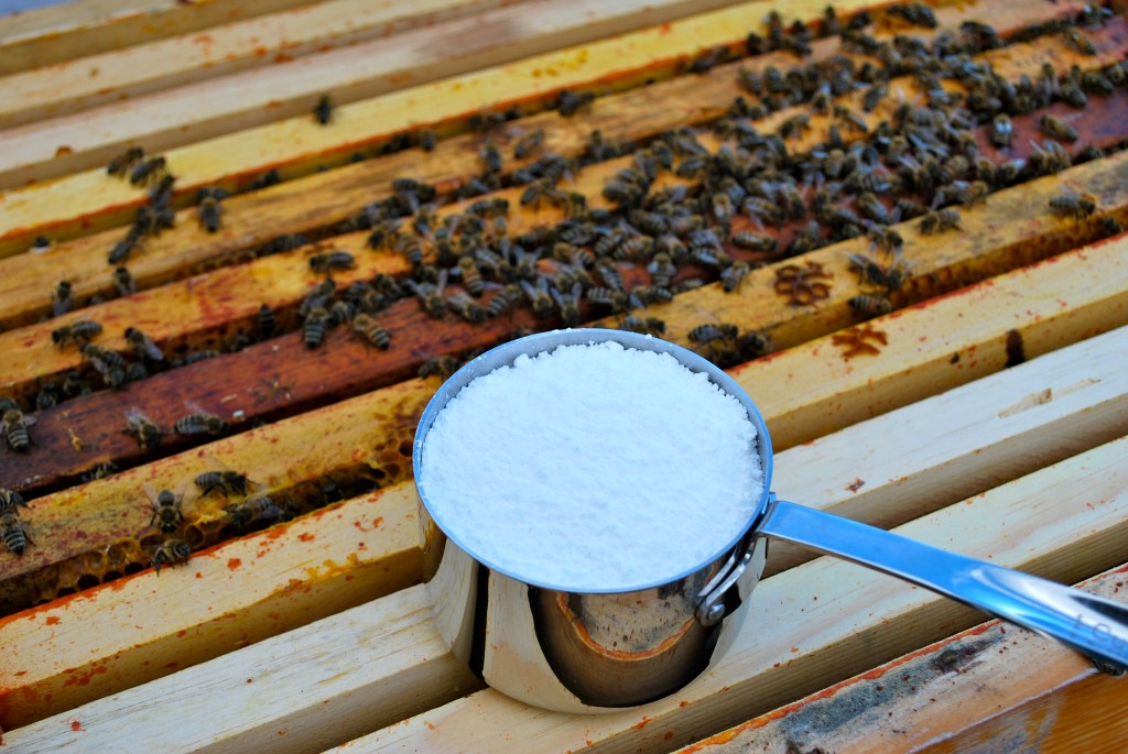 bees | Abernathy's Rabbitry