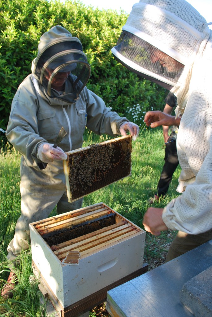 Abernathy's Rabbitry